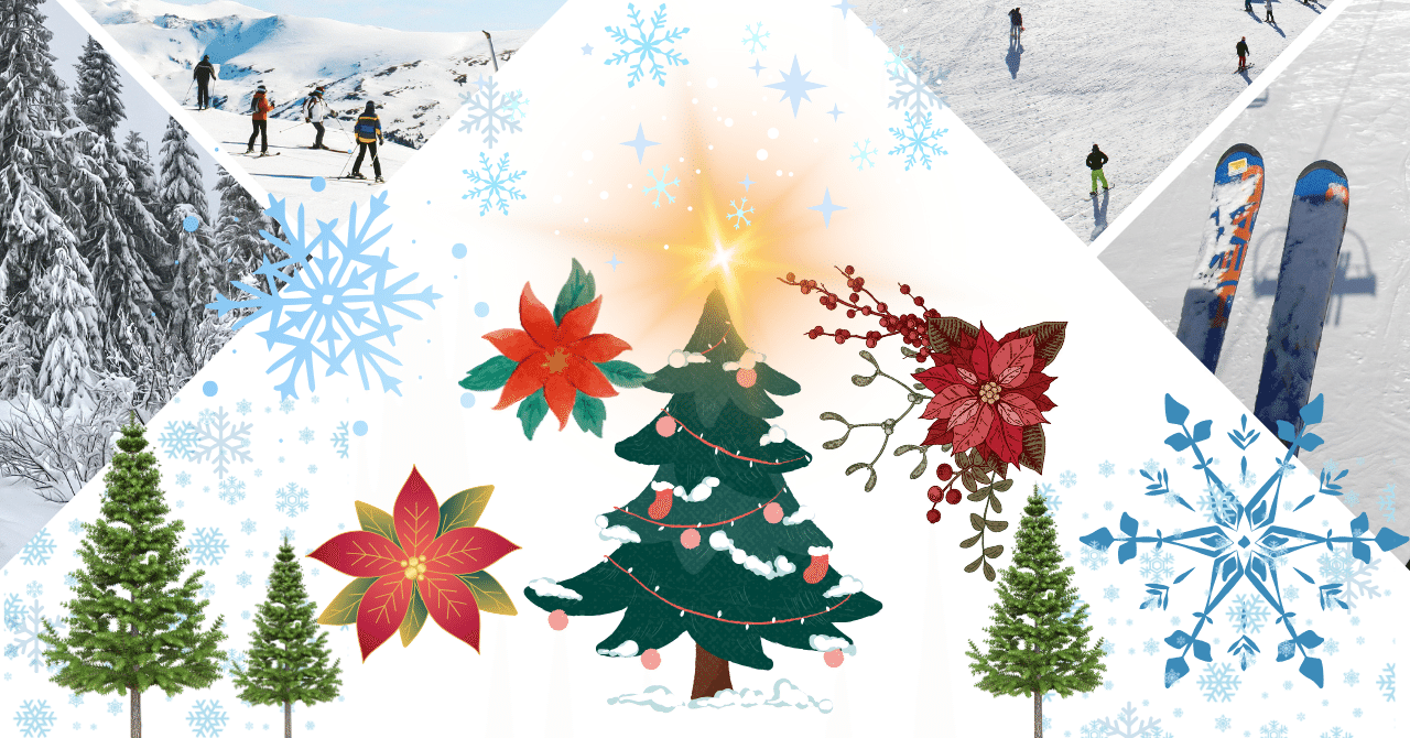 【つぶやき＆ひとりごと】12212024｜藍玉カトルセ