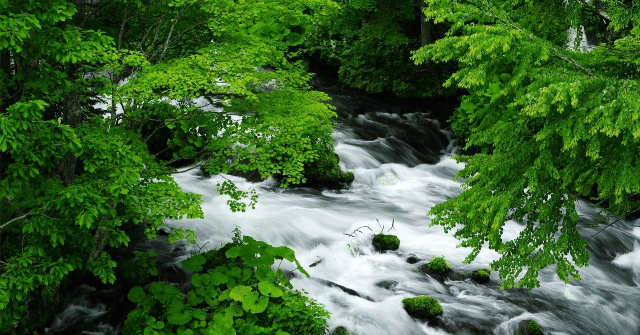 【お酒】菊水ふなぐち にハマる！｜neji bit