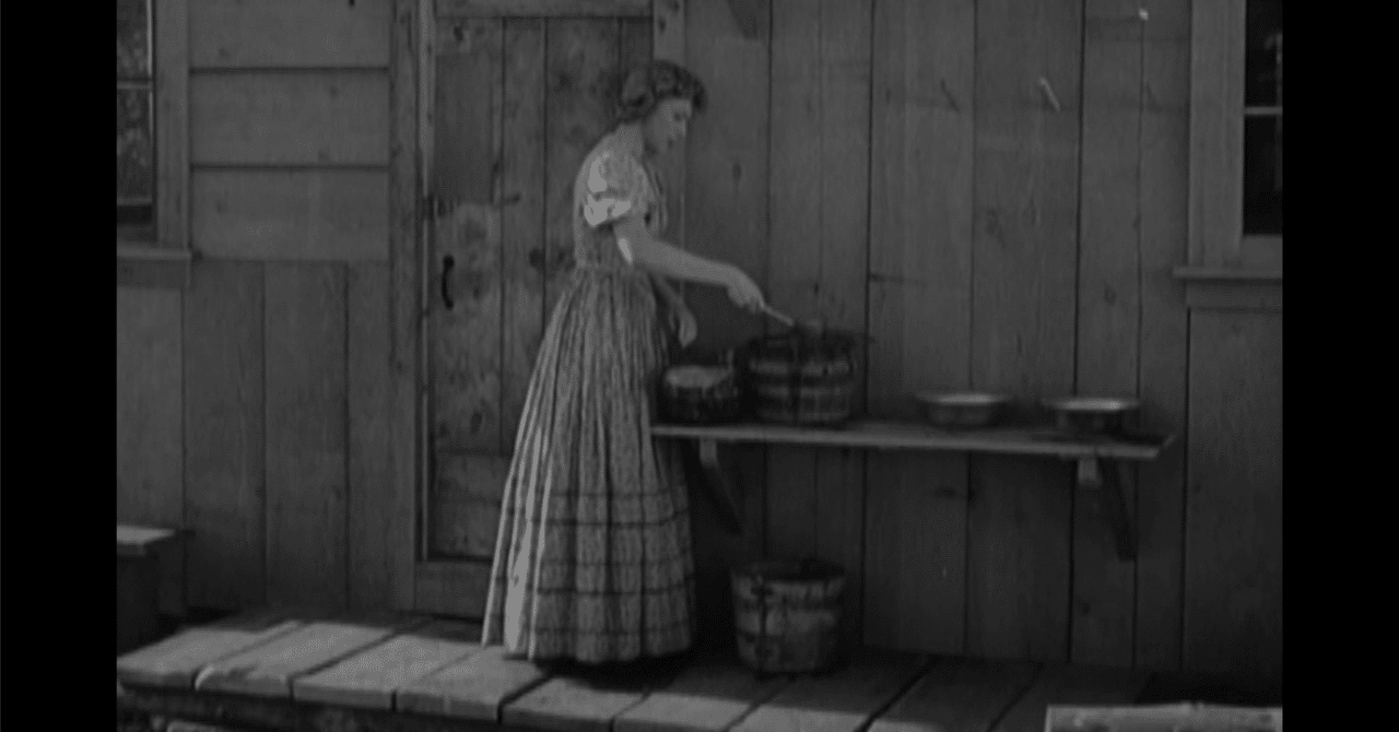 Diary_12212024｜Koji Shibuya