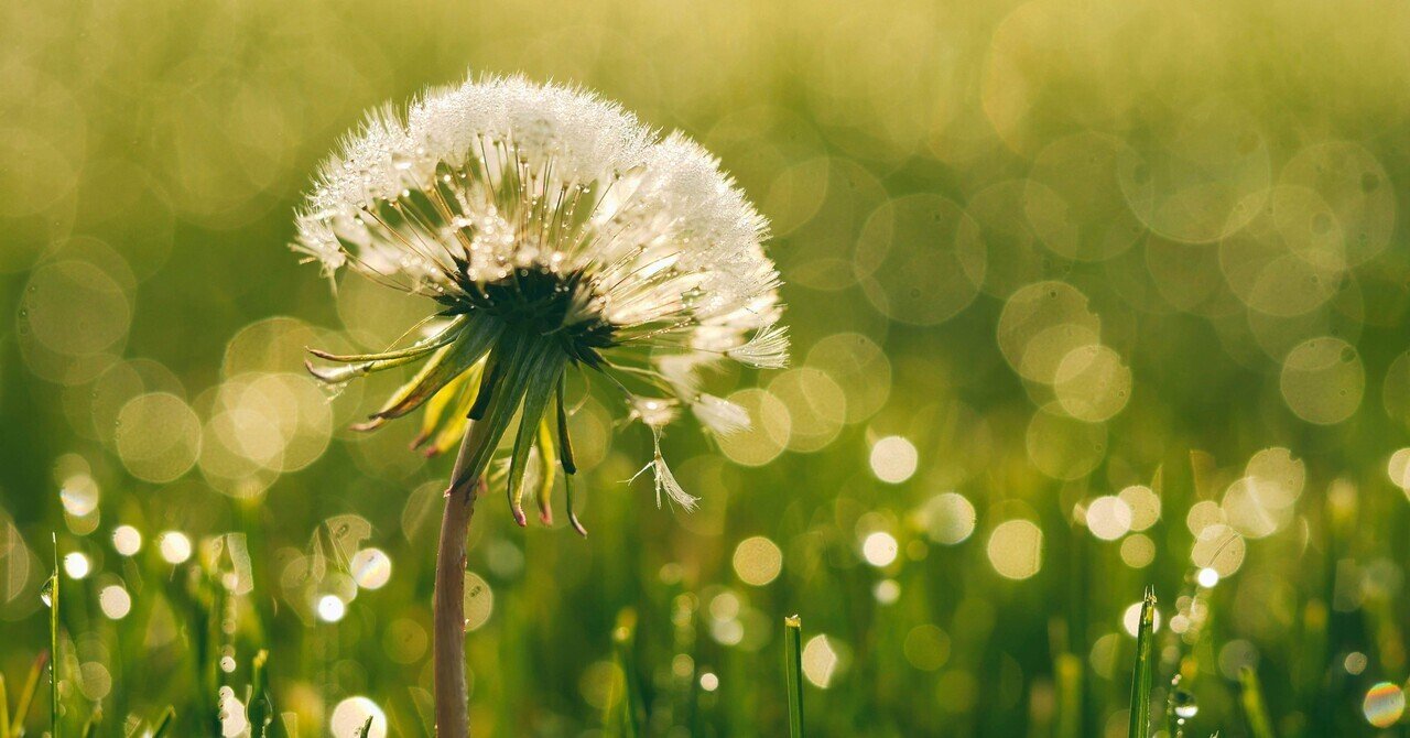 いまの自分にできる小さな事を大切にする ｜Diamond Mom ≒てきとう母ちゃん