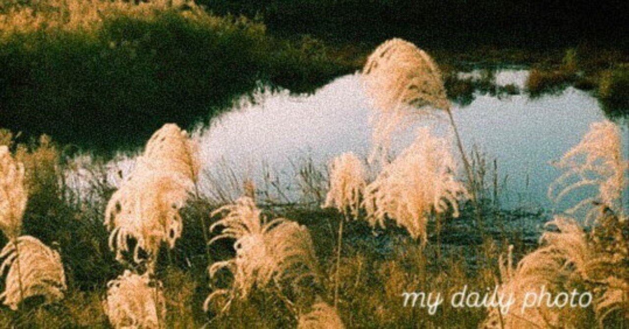 カメラ講習 vol.25 フォトマスター検定14 文化/モラル(撮影マナー)｜yano’note：カメラマン / クリエイター ️