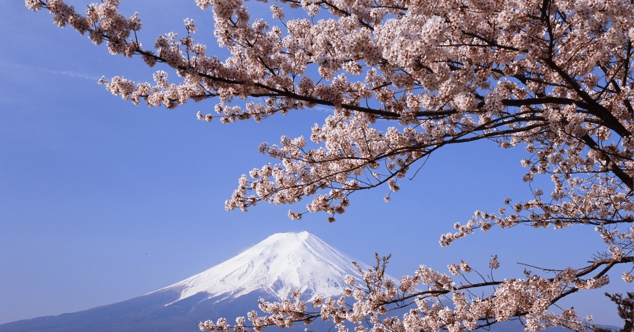 川幅日本一｜Ryuji Wajima