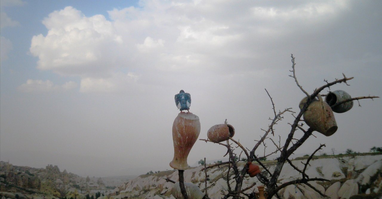 【ちょっと昔の世界一周】 #47 《出会いは続く...》｜Nobu-Oh