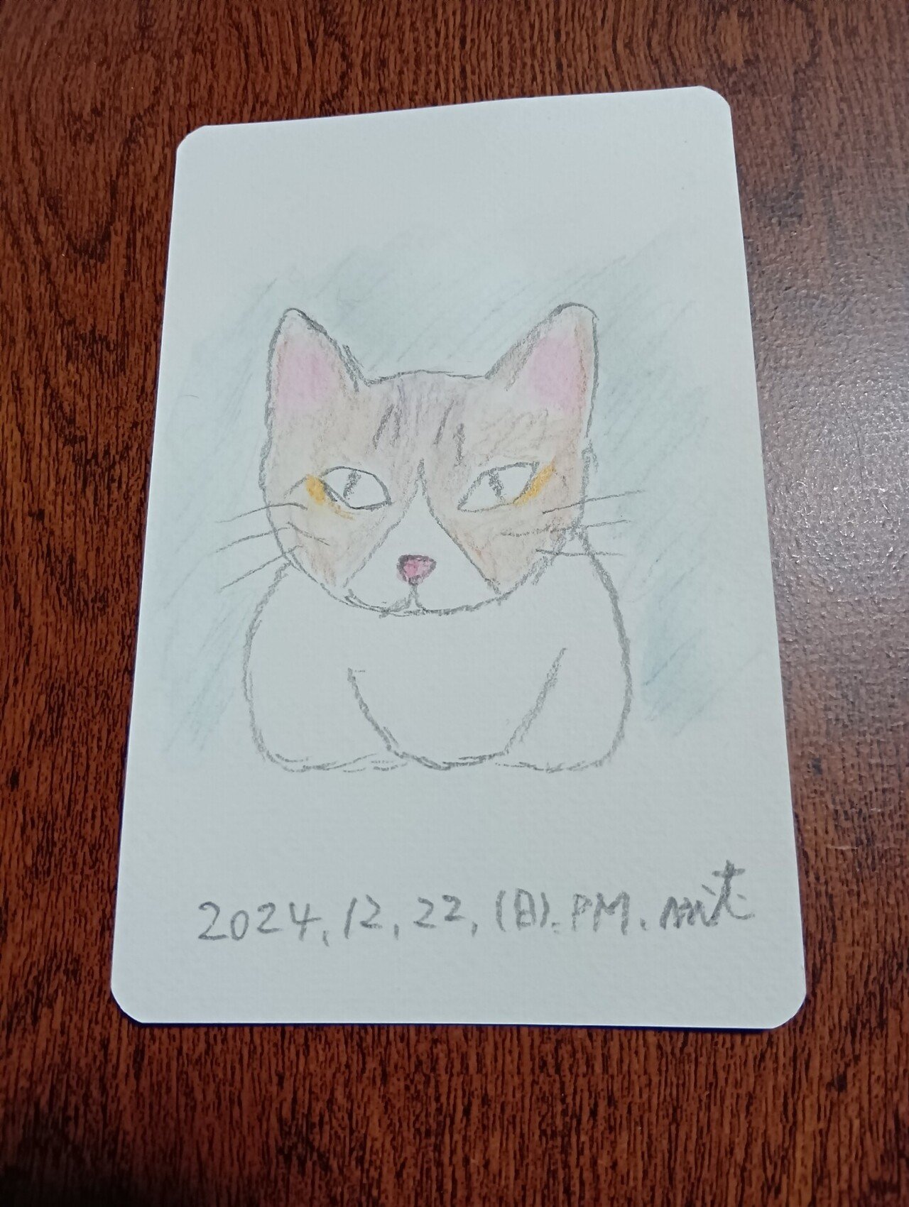 miyukitty日記2024NO17｜miyukitty