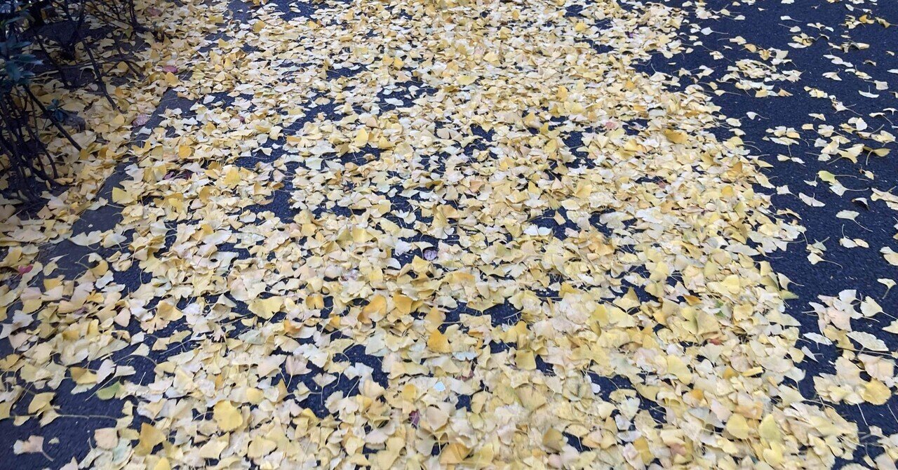 愛おしき週末について｜changdeok_gung