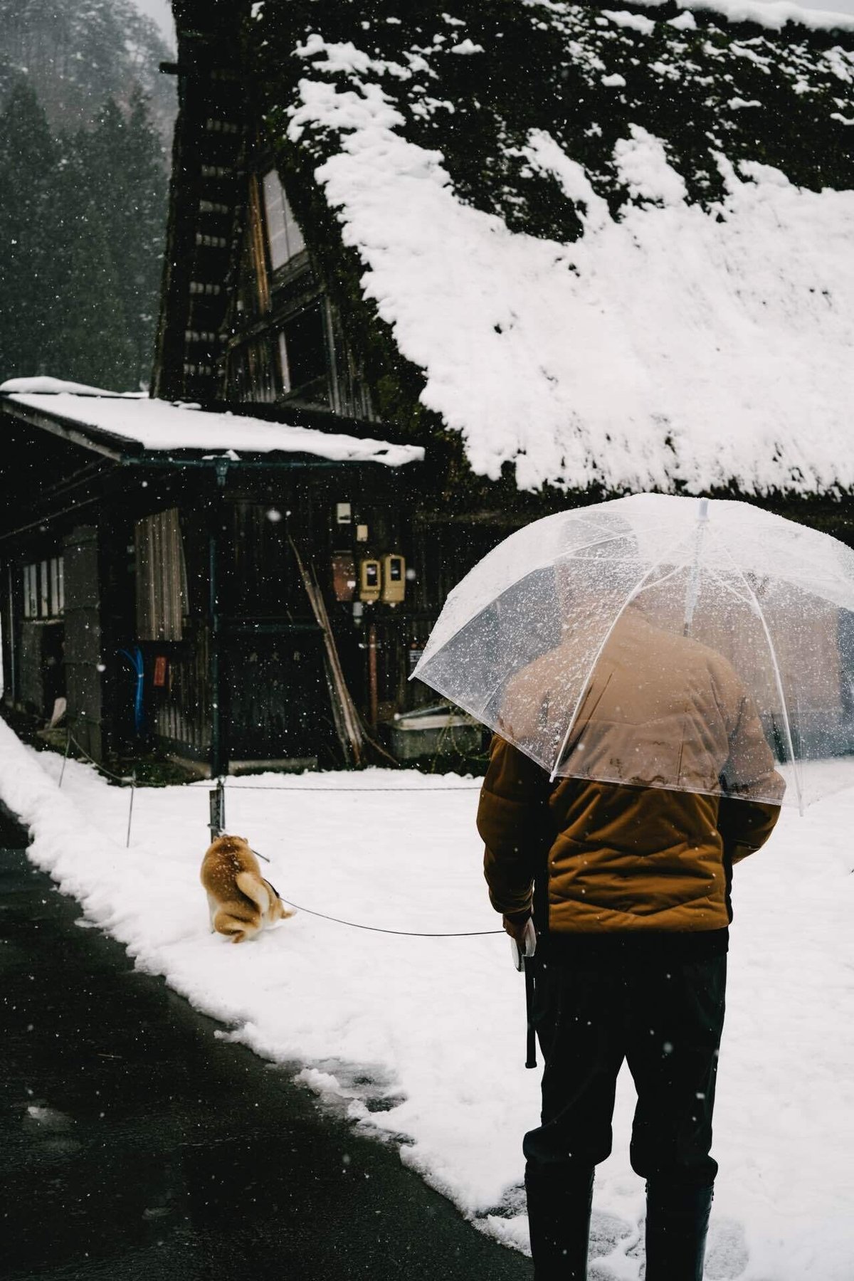 白川GO｜rikuto murakami / 村上陸斗