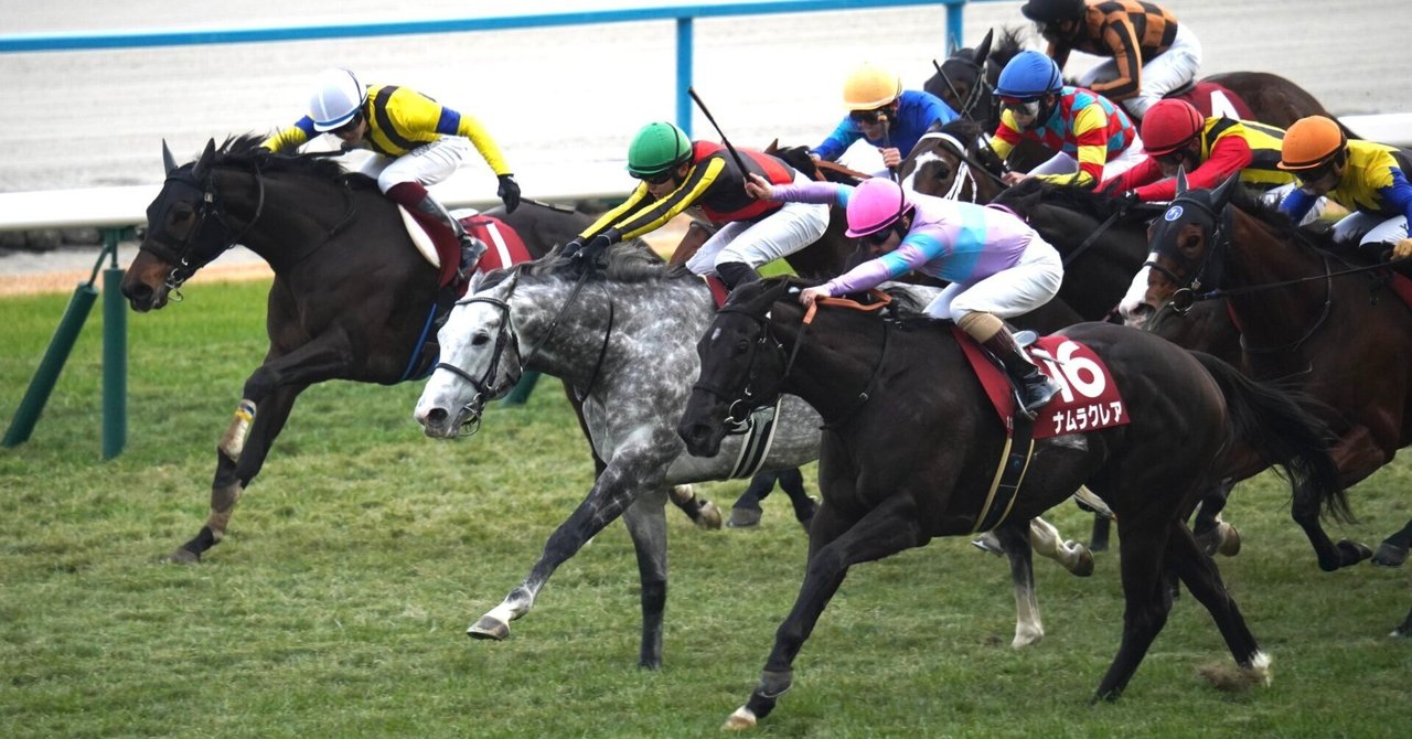 【阪神カップ（g2）回顧～その先へ】日刊コンピ篇｜haya