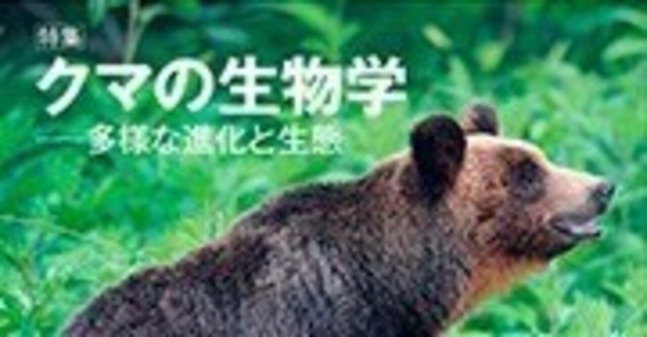 クマの生物学─多様な進化と生態｜Naoki OHNISHI