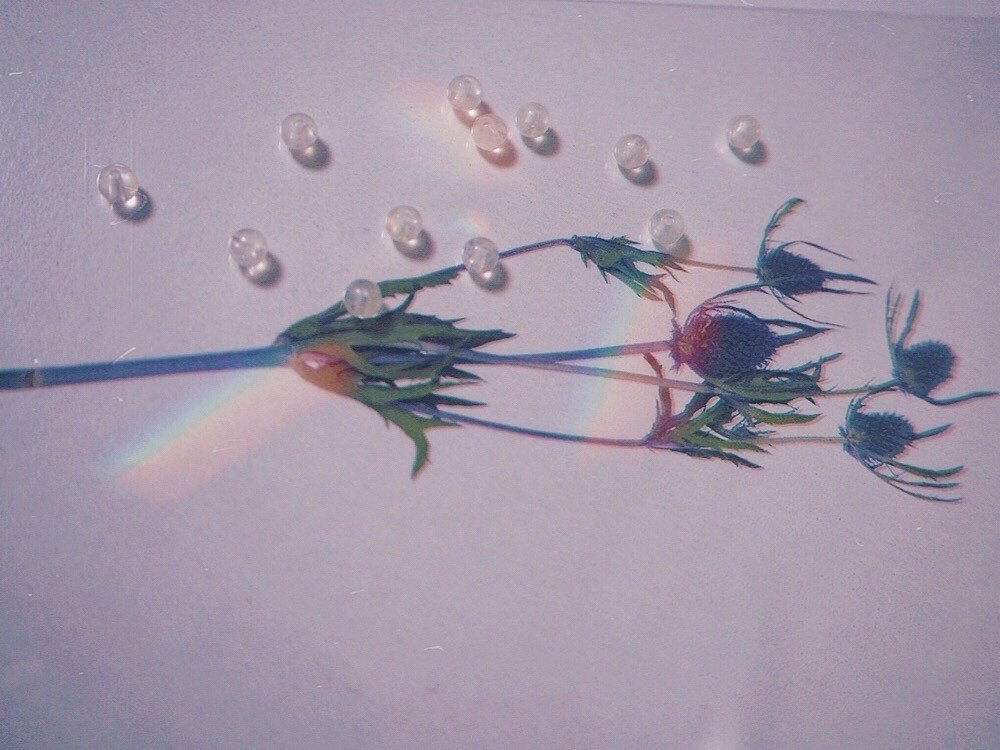 aisu （あいす）｜note