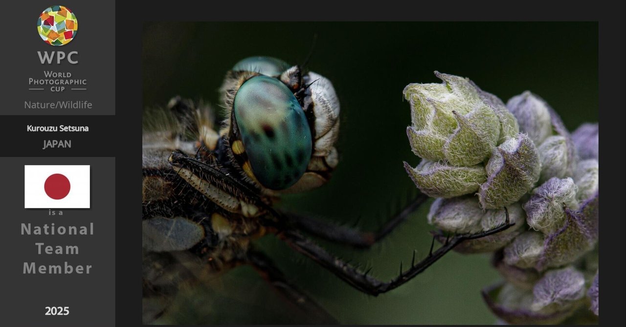 WPC2025(World Photographic Cup)の作品が発表されました。｜黒水 雪那 photographer