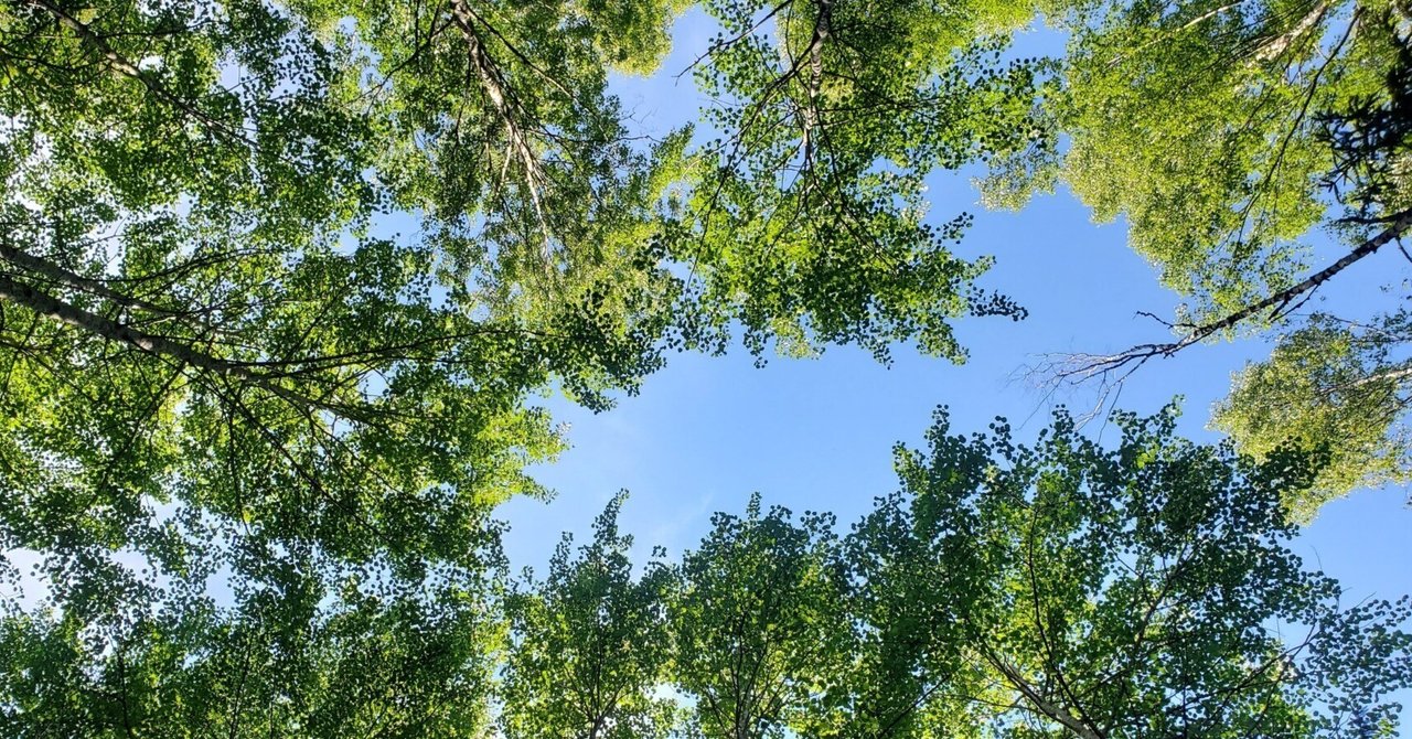 写真でふり返るリアルなフィンランド生活2024｜Matti