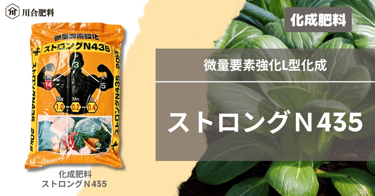 微量要素強化L型化成「ストロングN435」｜川合肥料