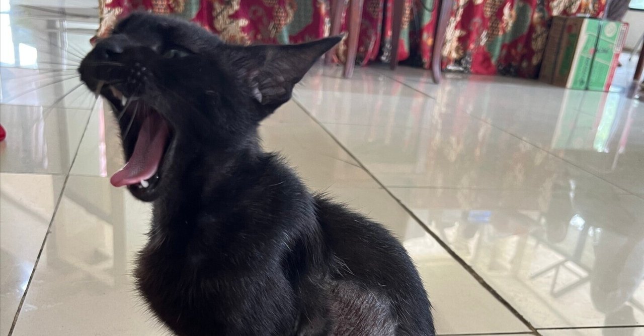 海外赴任のリアル vol.4｜Tom Tally