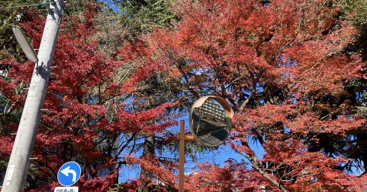 1319_スタンドアローン｜gender