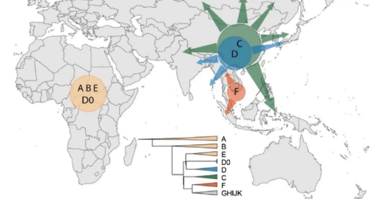 現在の非アフリカ系ヒトY染色体は東南アジア起源(A Southeast Asian origin for present-day non ...