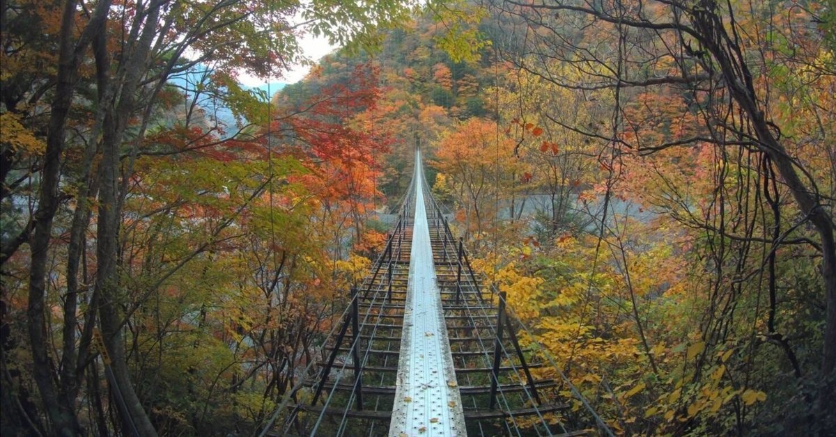 フィールドワークの「無駄」を考える｜Taniguchi Joy