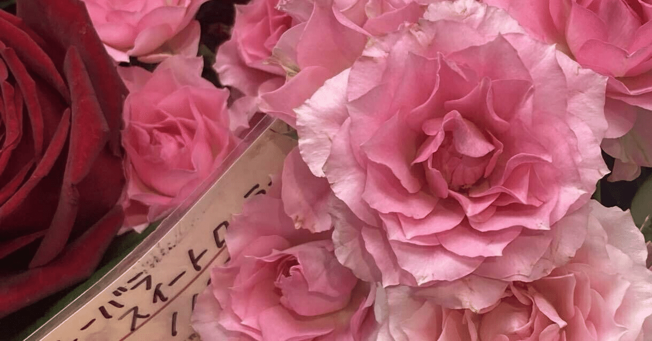 日利20%！株、FX、投資信託、確定拠出年金、NISAのメリットとデメリット｜自動売買EA SPW代理店