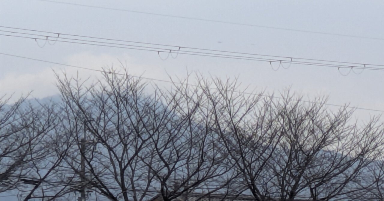 第3巻 403番〜作者 大伴家持｜ichiro70