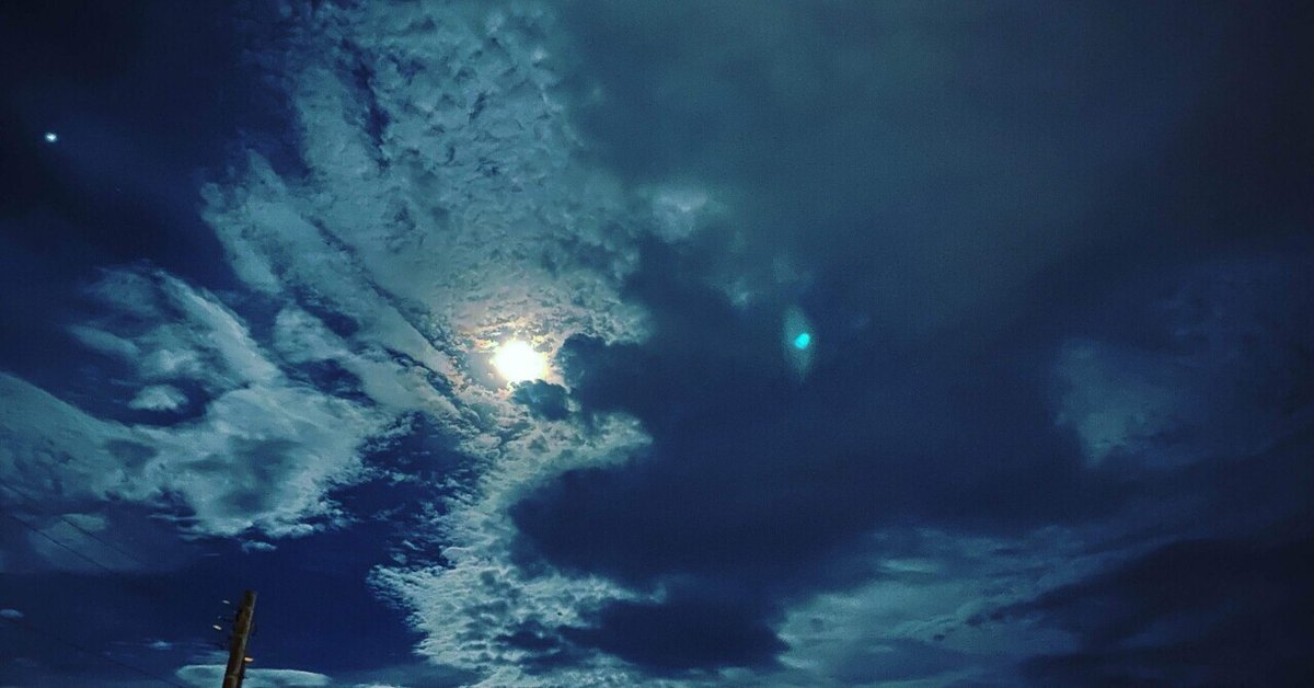 今年の気づき｜sak.