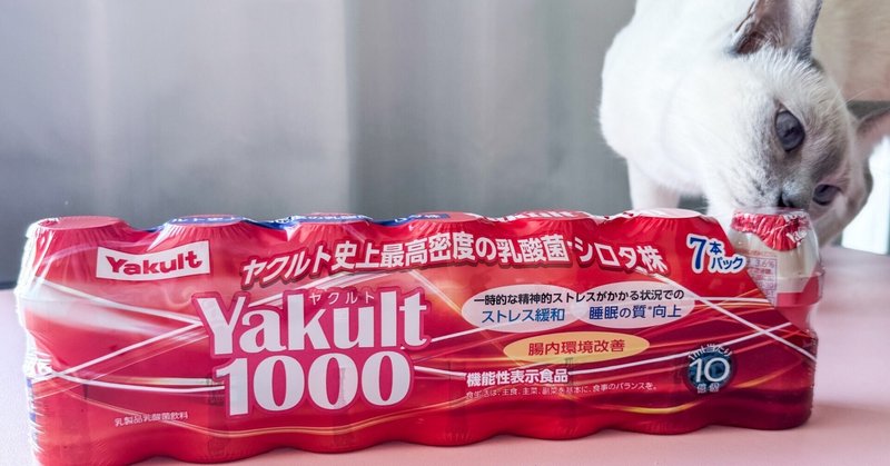 春川 眞 - Sana Harukawa｜note