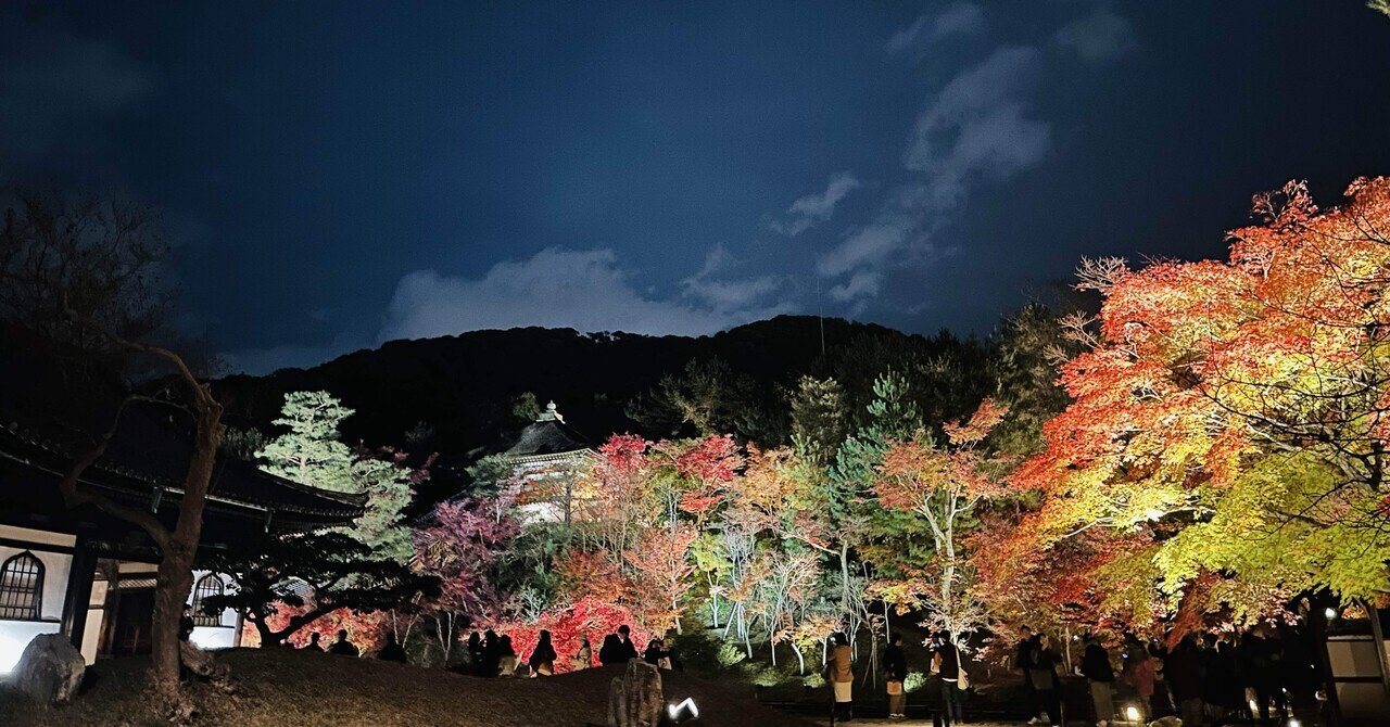 🌟 怖さを感じるほど、それは挑戦する価値がある 🌟｜AYANO【神さまと繋がる占い師】