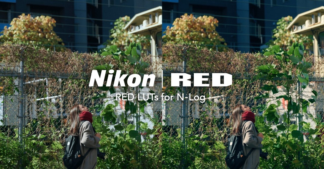 N-RAW × RED LUT 色調整の裏側を公開！｜UMU TOKYO