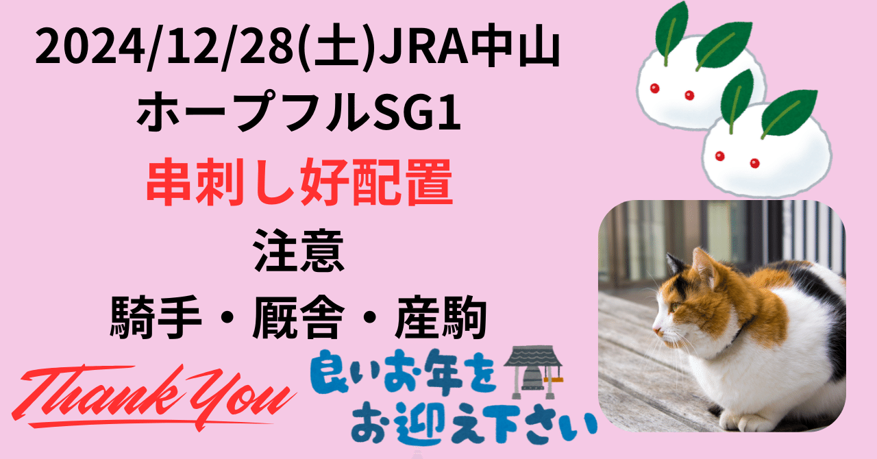 2024/12/28(土)JRA中山・ホープフルSG1・串刺し好配置・注意・騎手・厩舎・産駒 ｜みぷ