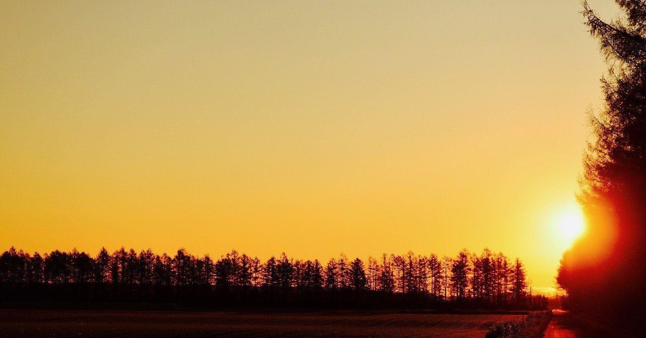 さみしさの正体｜Mika Sudo