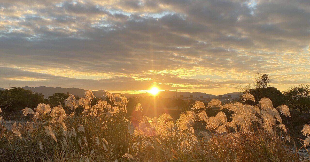 アラフィフ 再就職までの道のり2024,12,17｜gaku-gaku