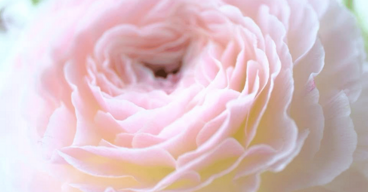 女性たちよ・。・。・。・｜Cosmic Suzu