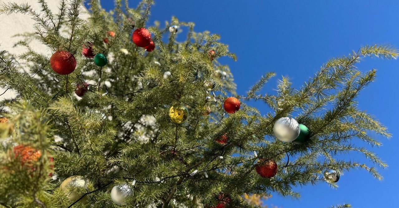 2024.12.27｜今夜21時〜クラファンSTART｜市来 健(BTALKS)｜Takeshi Ichiki