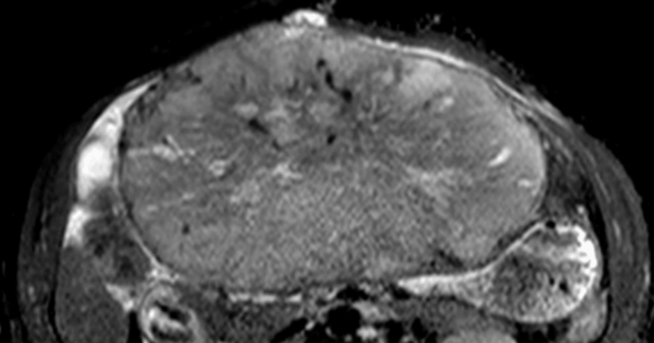 Case 198｜古田寿宏