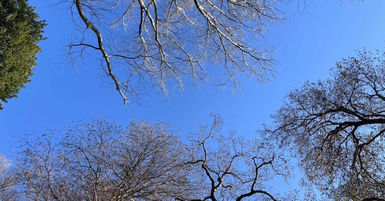 思い出ベンチ｜linda