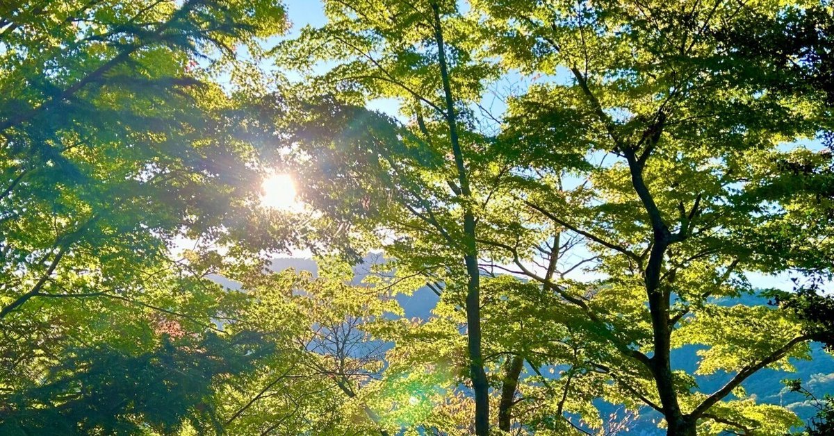 【詩】目指す光 ｜ayano_leizei 冷泉あやの