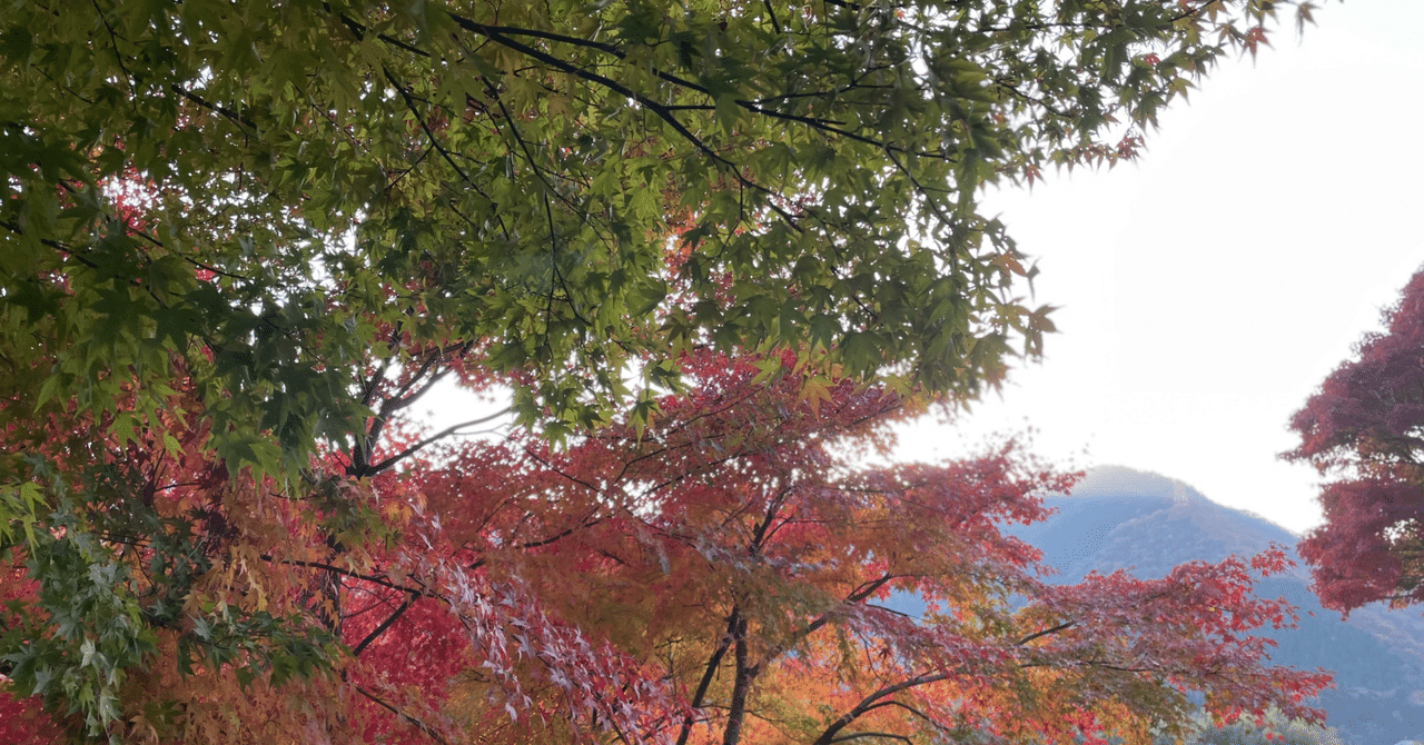 社内恋愛の報告、メリットとデメリットを知り最適なタイミングと伝え方を考える｜「元ダメ恋愛体質の私が実践した方法」CocoCute