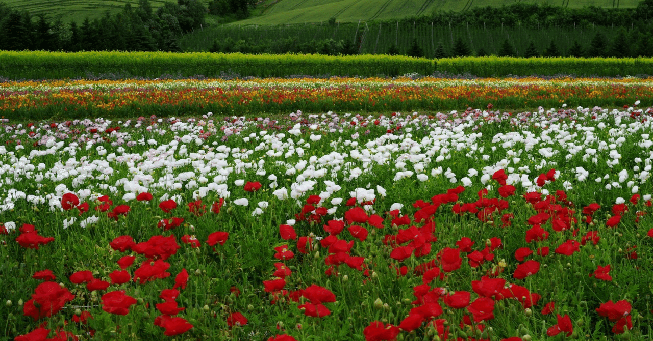 男女のコミュニケーションギャップとその解消法｜CocoCute