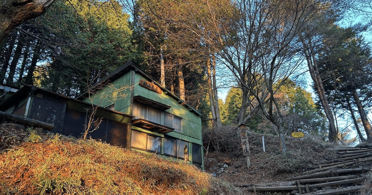 性欲と恋愛感情を理解し、女性が自分の性欲を肯定的に捉える重要性と自由を考える｜「元ダメ恋愛体質の私が実践した方法」CocoCute