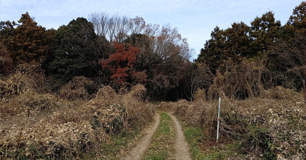 #ArakawaOutback25 のご案内｜aosmi