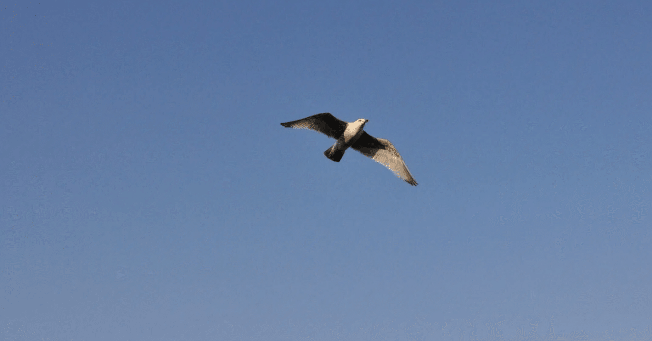 百年の孤独｜sae.sad