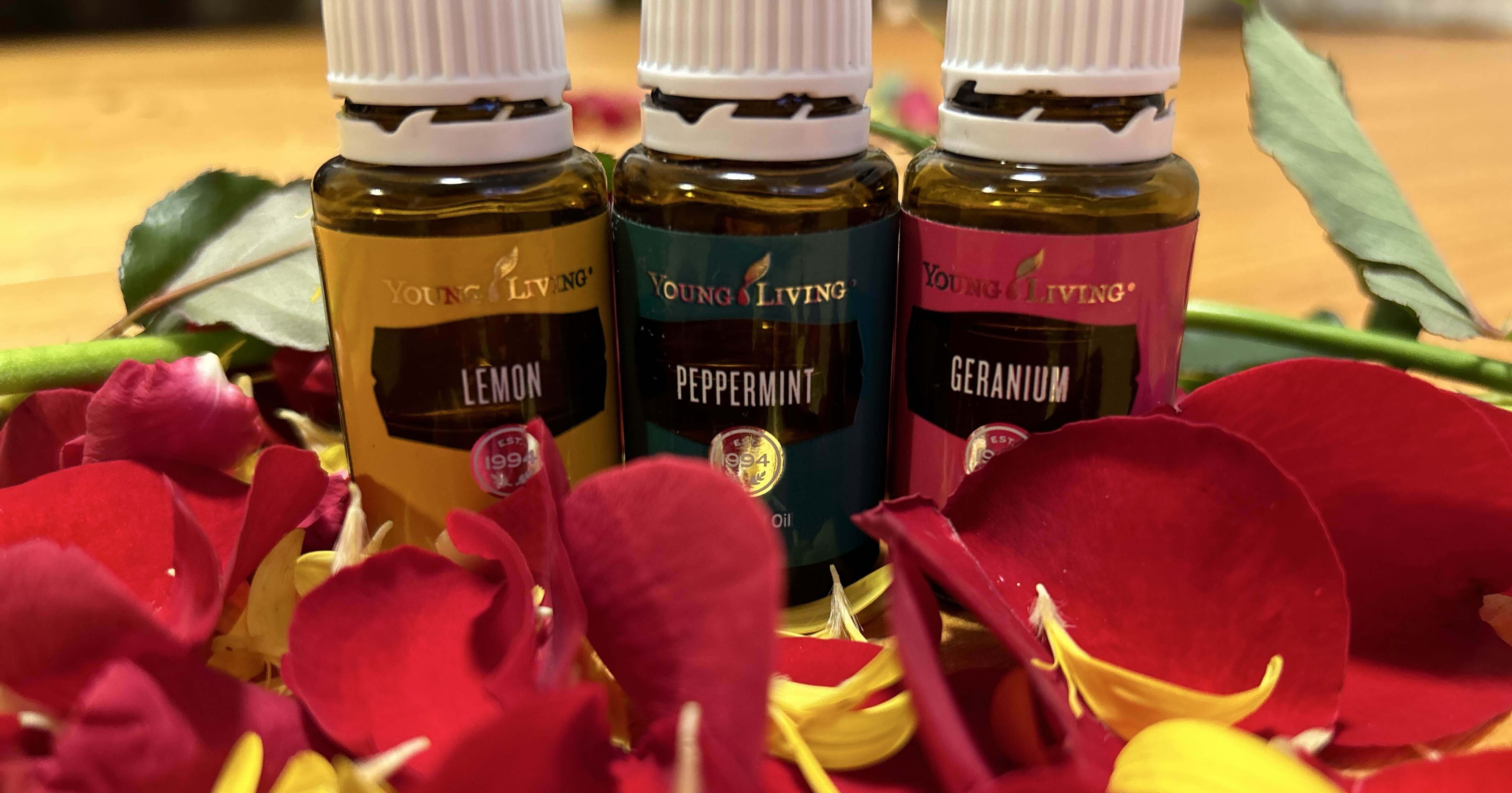 wisdom of the wise｜小林 純 JUN KOBAYASHI｜note