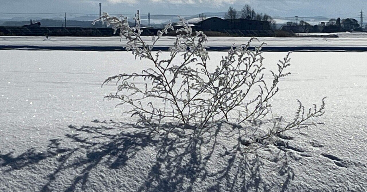子どもの存在とは？｜みっちー🌈Michiko Tsukuda
