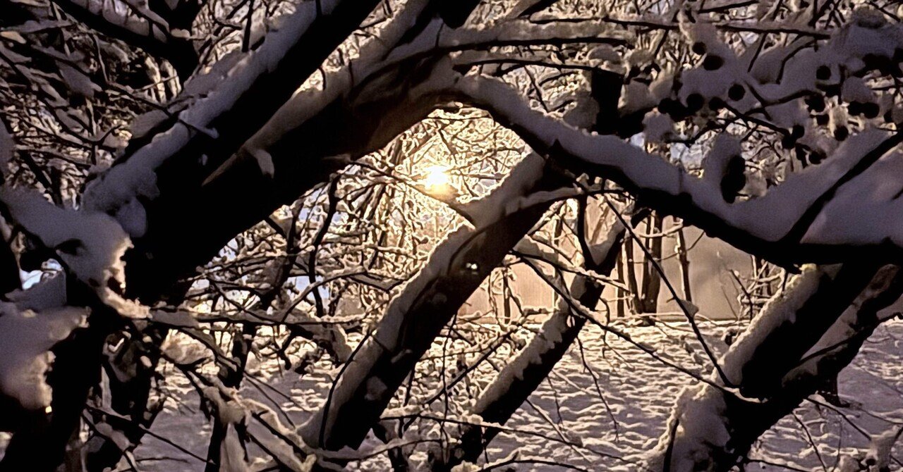 できなくても『それがいいんじゃん！それも面白いよね！』｜Lo-fi Yellow Funk創作所【note】