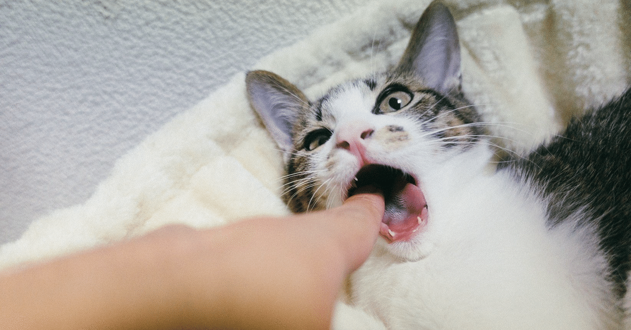 あなたの指をください。｜ruming