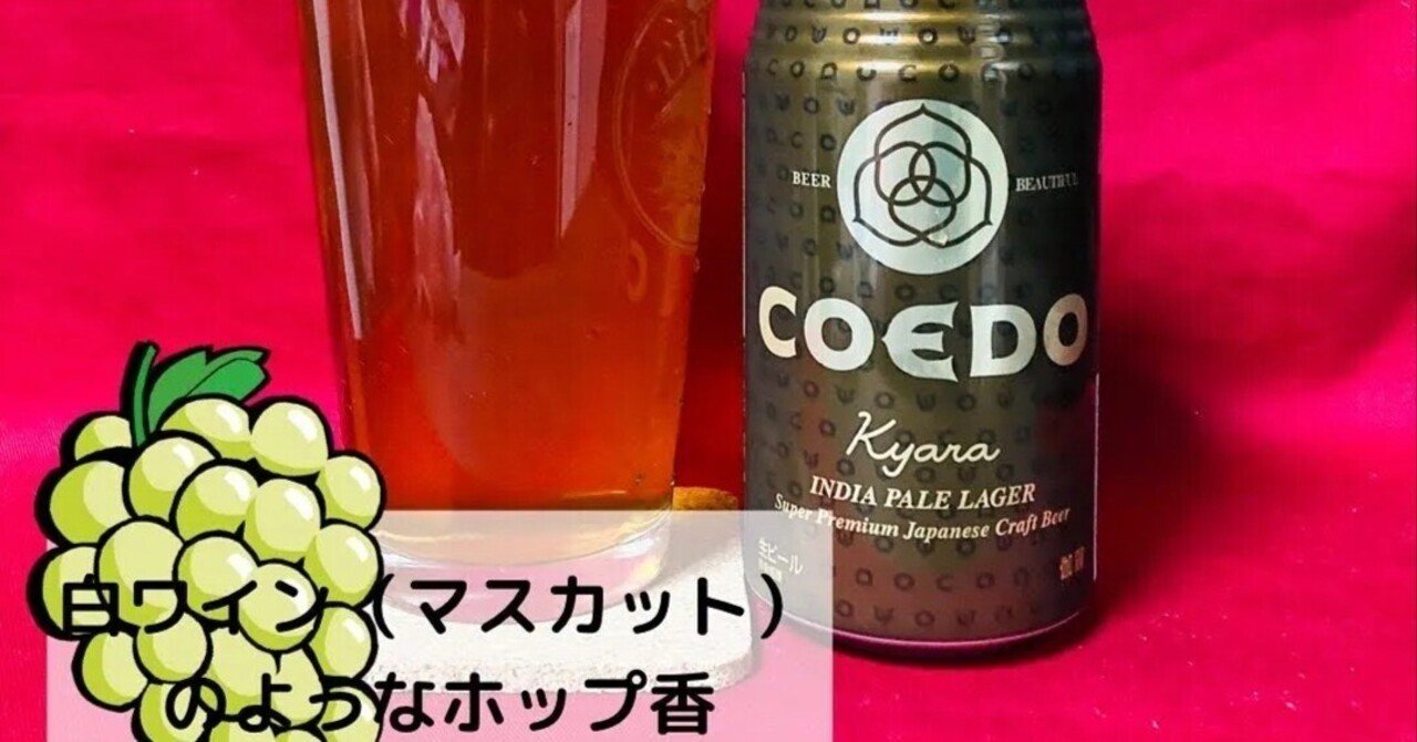 【伽羅 -Kyara-】コスパの良いCOEDOのビールは白ワインのような香りがウリのIPL｜光太郎｜【コスパの良いビールを多数紹介！】