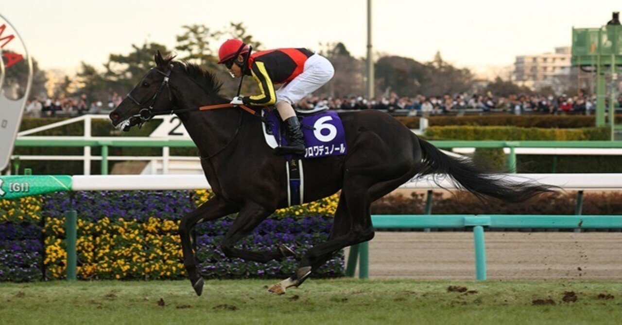 【ホープフルS（G1）回顧～その先へ】日刊コンピ篇｜Haya