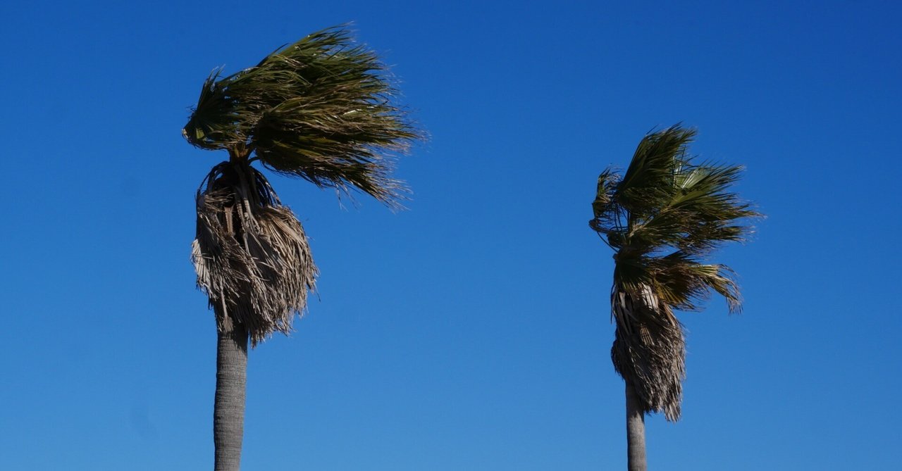 525 海風冷たい今年のラストドライブ in 御前崎｜ミヤコカエデ（Miyako Kaede)