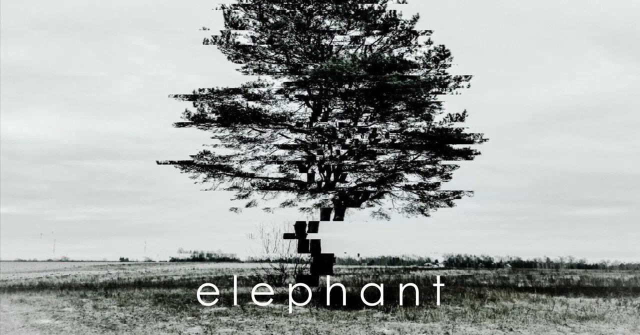 elephant「GRIEF FILMS」リリースによせて｜しおんぬ
