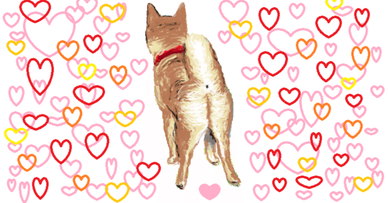 柴の尻が好きだ｜kemoco