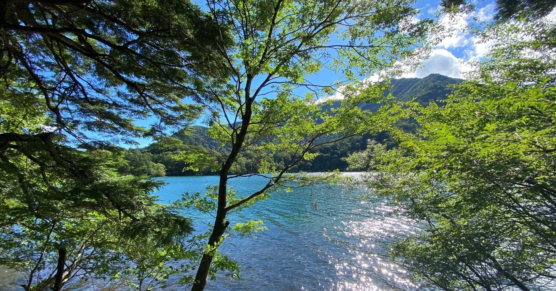 KETKET | 節約系データサイエンティスト/クリエイター｜note