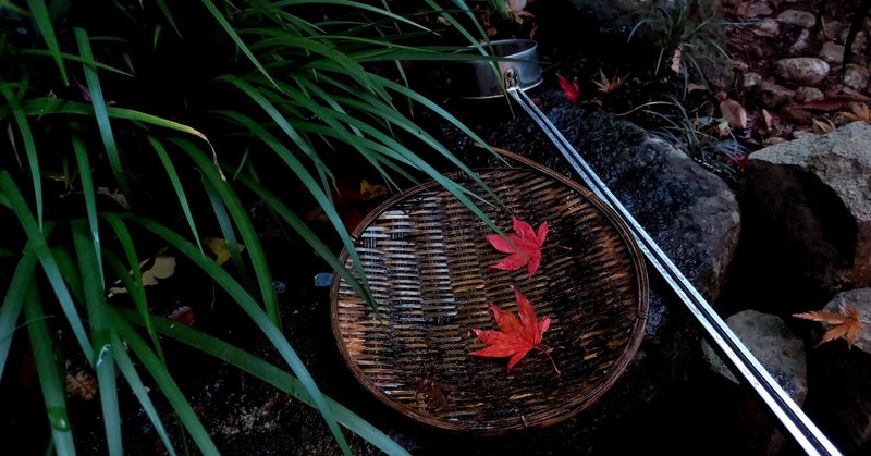 琴ノ葉みかん (Mikan Kotonoha)｜note